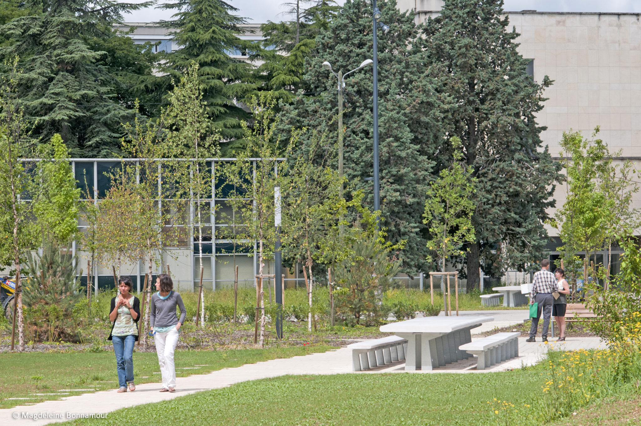 Dijon Esplanade Erasme - atelieruelle